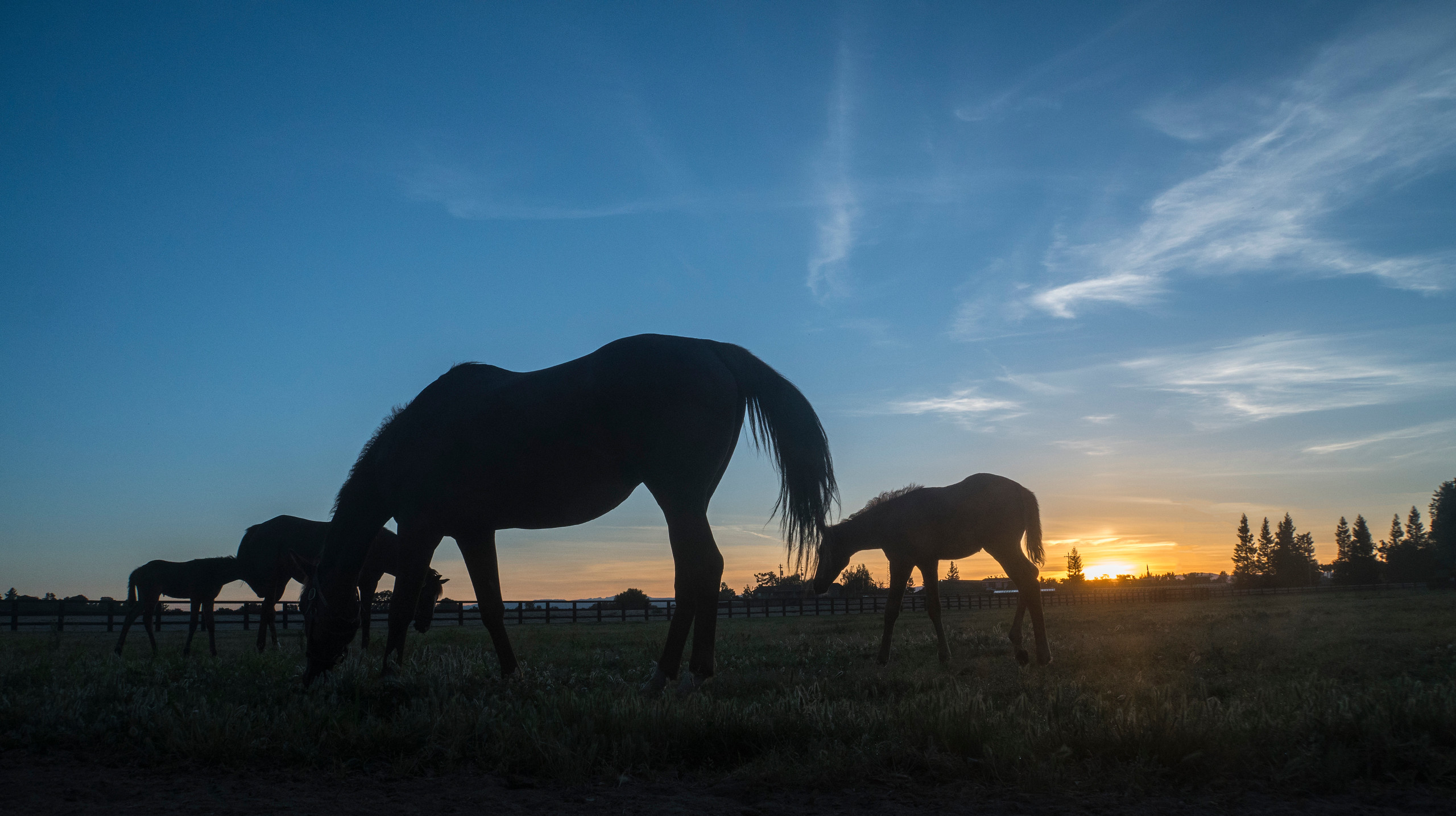 Welcome to Legacy Ranch