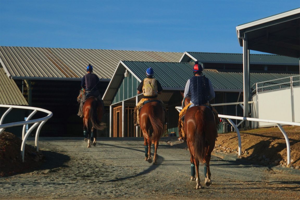 Tour Legacy Ranch - Legacy Ranch